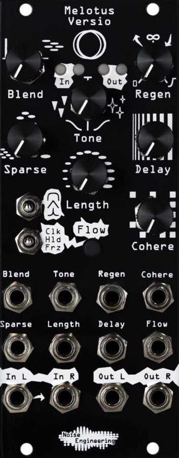 Noise Engineering Melotus Versio Black – Detroit Modular