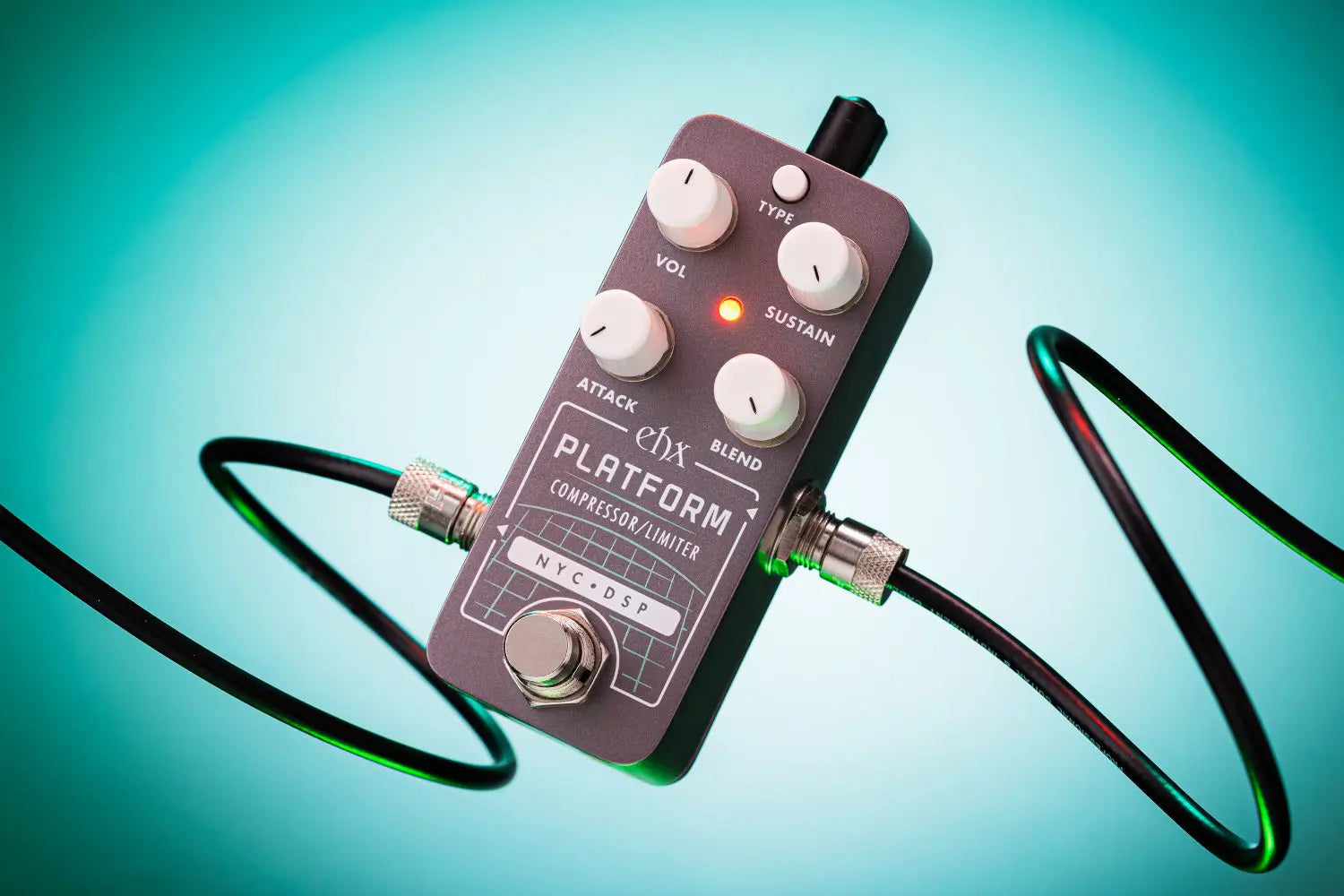 ELECTRO HARMONIX PICO PLATFORM – Detroit Modular