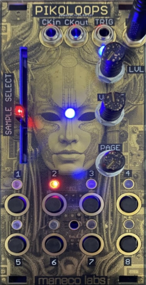 MANECO LABS PIKOLOOPS EURORACK – Detroit Modular